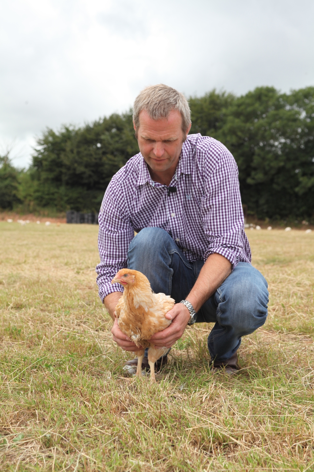 home [www.abelandcole.co.uk]