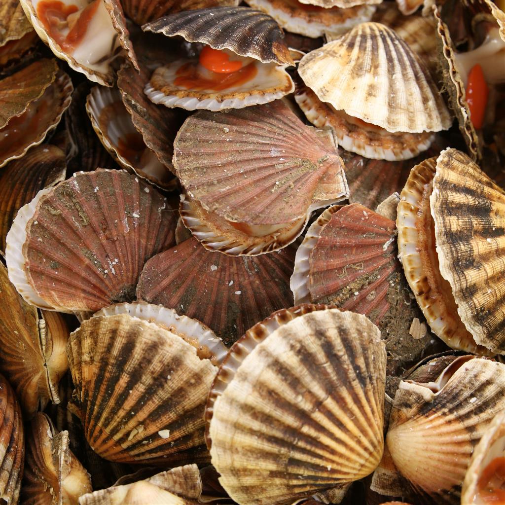 Easter feasting - Good Friday fish