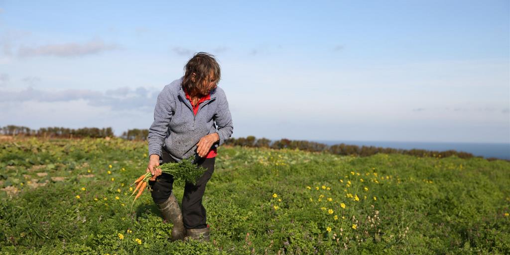 What is biodynamic farming? We’re glad you asked!