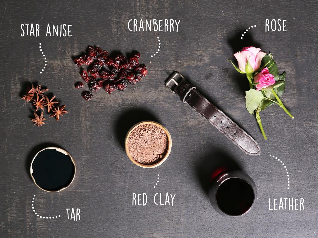 A beginner's guide to wine tasting