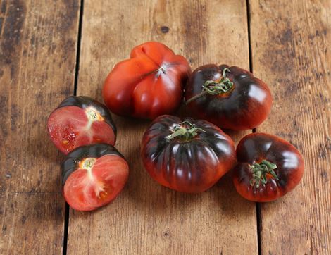 Organic Indigo Apple Tomatoes (400g) | Abel & Cole