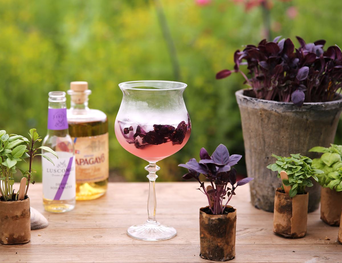 Purple Basil Mojito Recipe | Abel & Cole