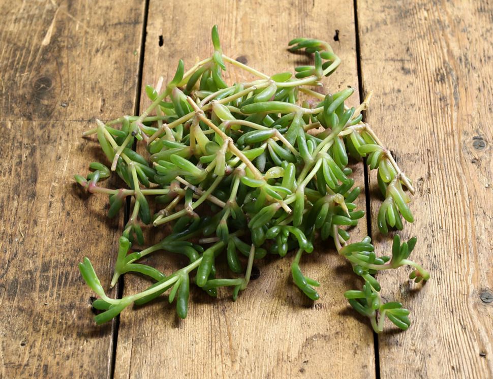 Salty Fingers, Wild (100g)